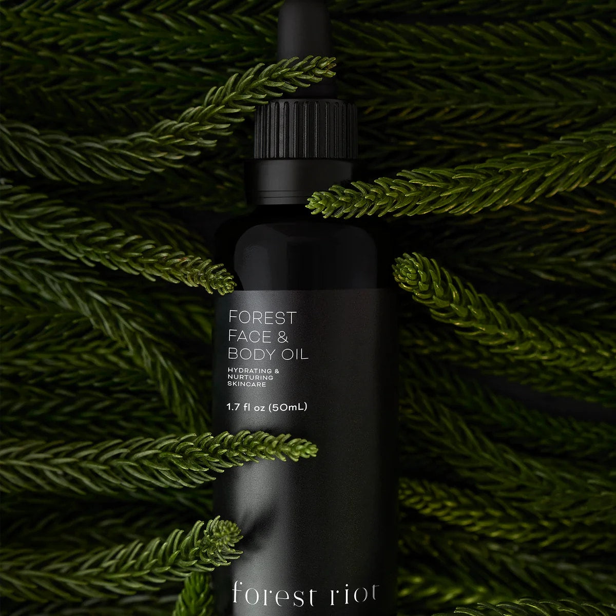 The Benefits of Forest Microbes – Forest Riot